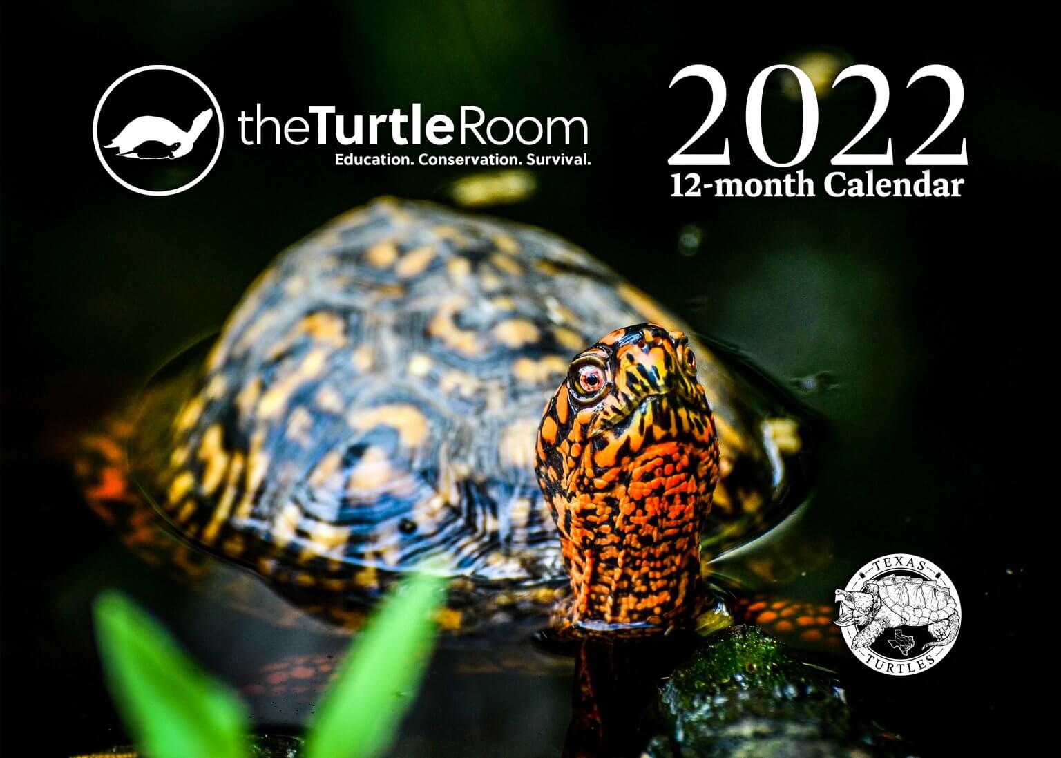 theTurtleRoom 2022 Turtle Calendar – theTurtleRoom